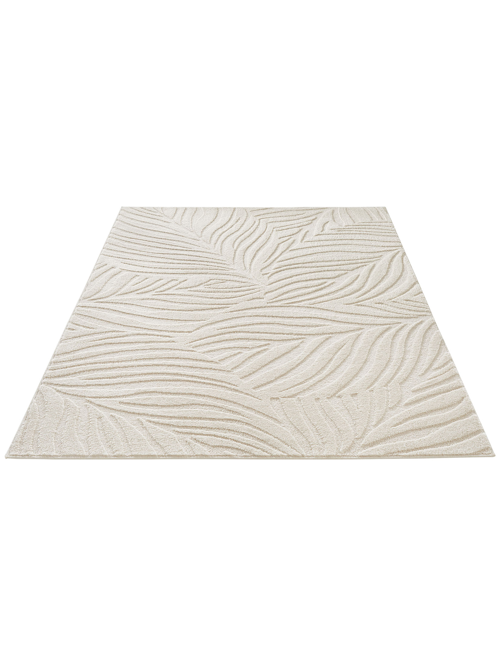 Pianta | Ivory | ca. 160 x 230 cm | 2193950004