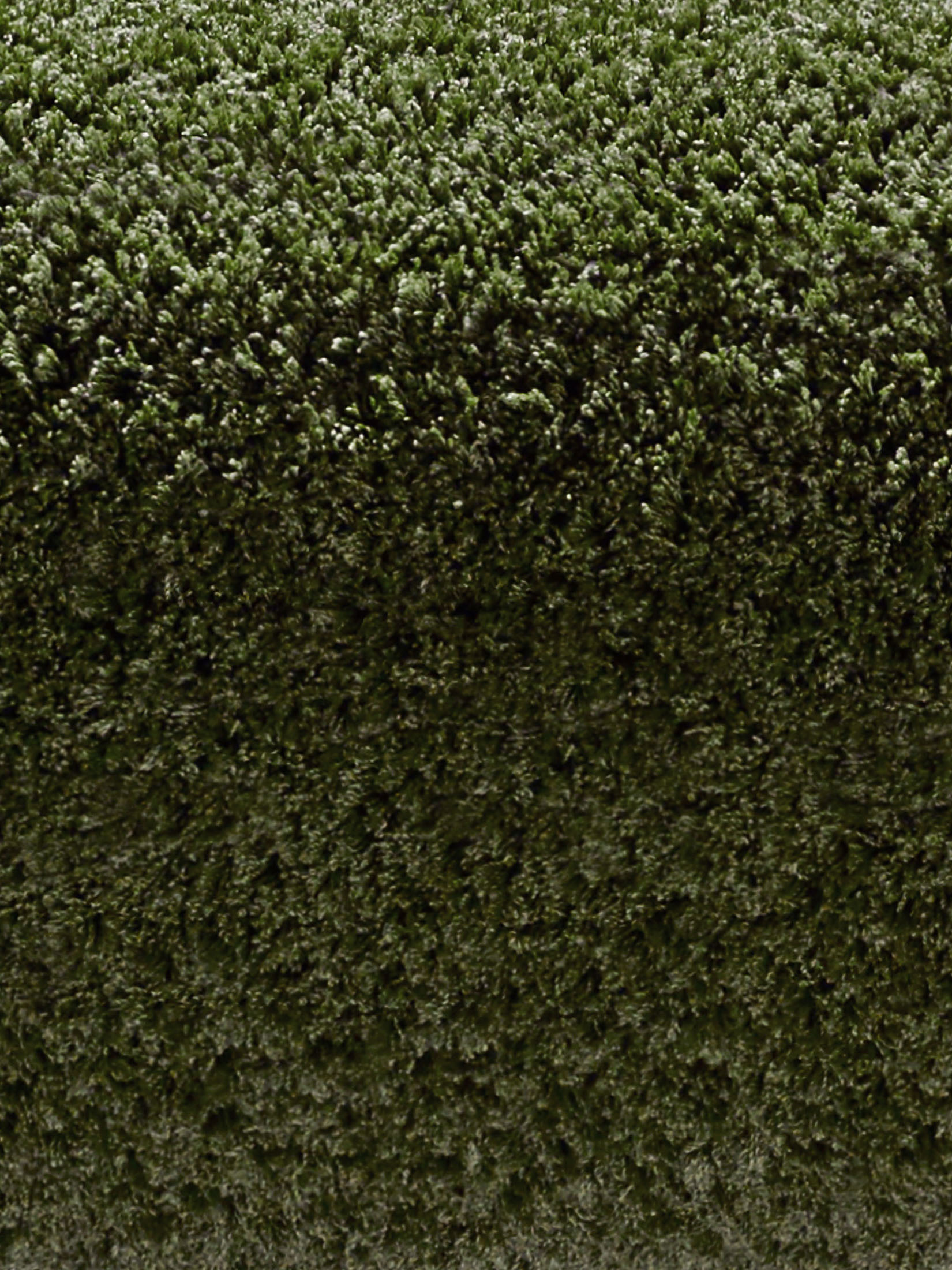 Savon | Moos | ca. 80 cm rund | 2023200015